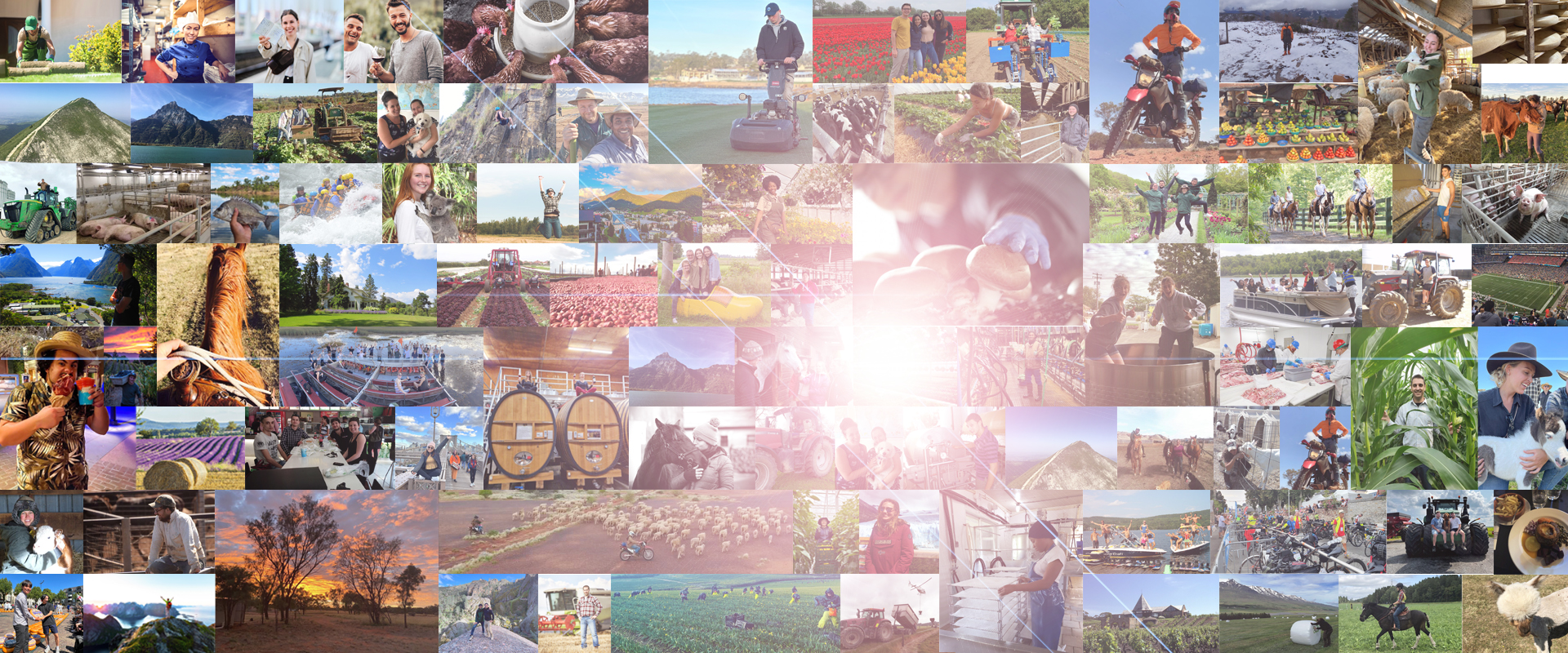 Grow Abroad World Alliance -Mosaic-tall – Grow-Abroad